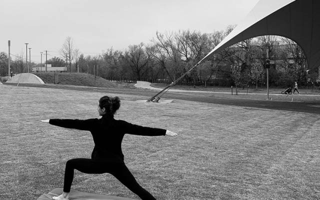 Sunday Reset | Paws & Poses | The Momentary