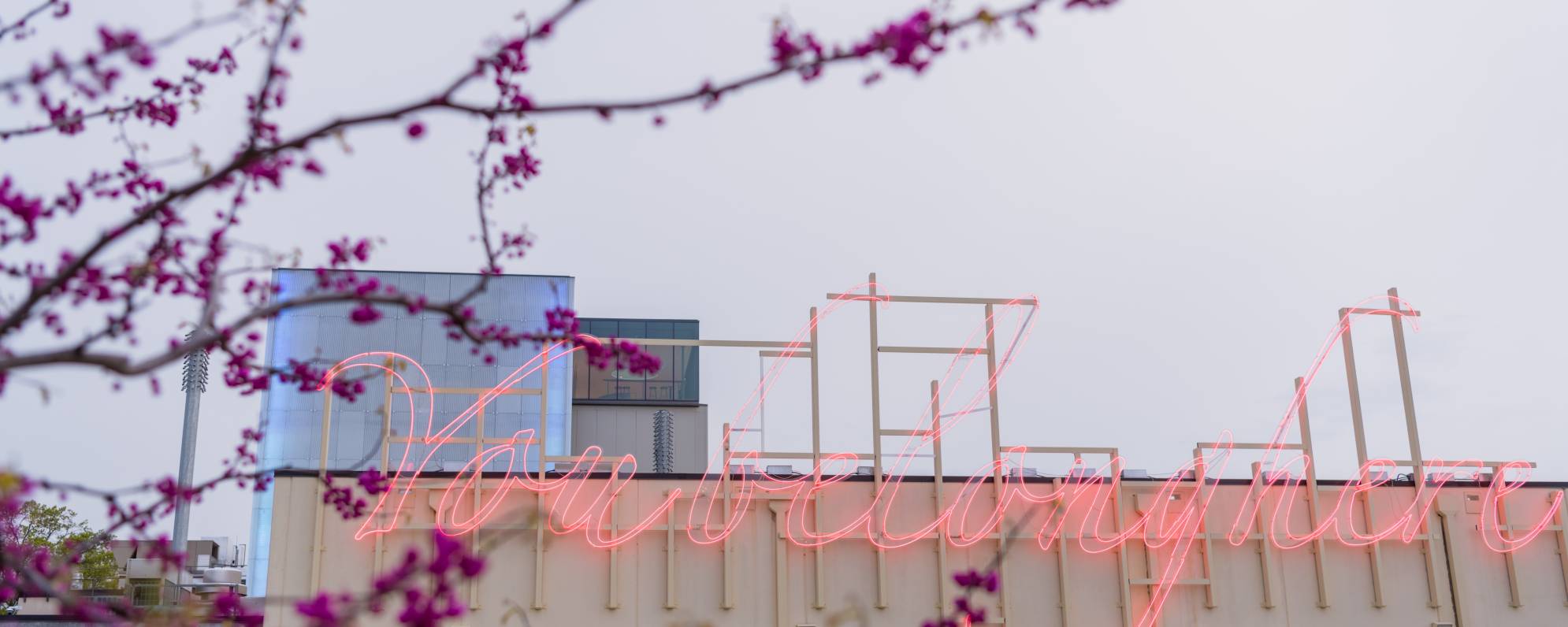 Your 2023 Spring Guide to the Momentary | The Momentary
