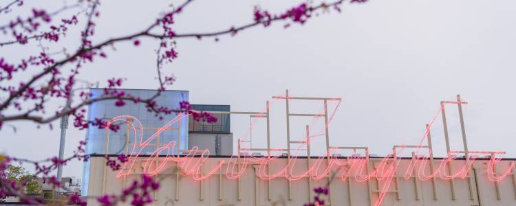 Your 2023 Spring Guide to the Momentary | The Momentary