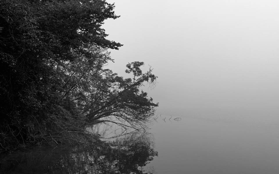 Exhibitions | The Momentary