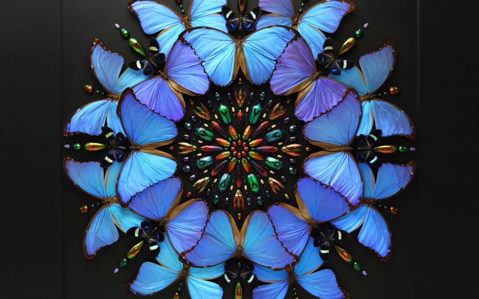 Crystal Bridges and the Momentary Reveal 2024 Exhibition Lineup | The ...