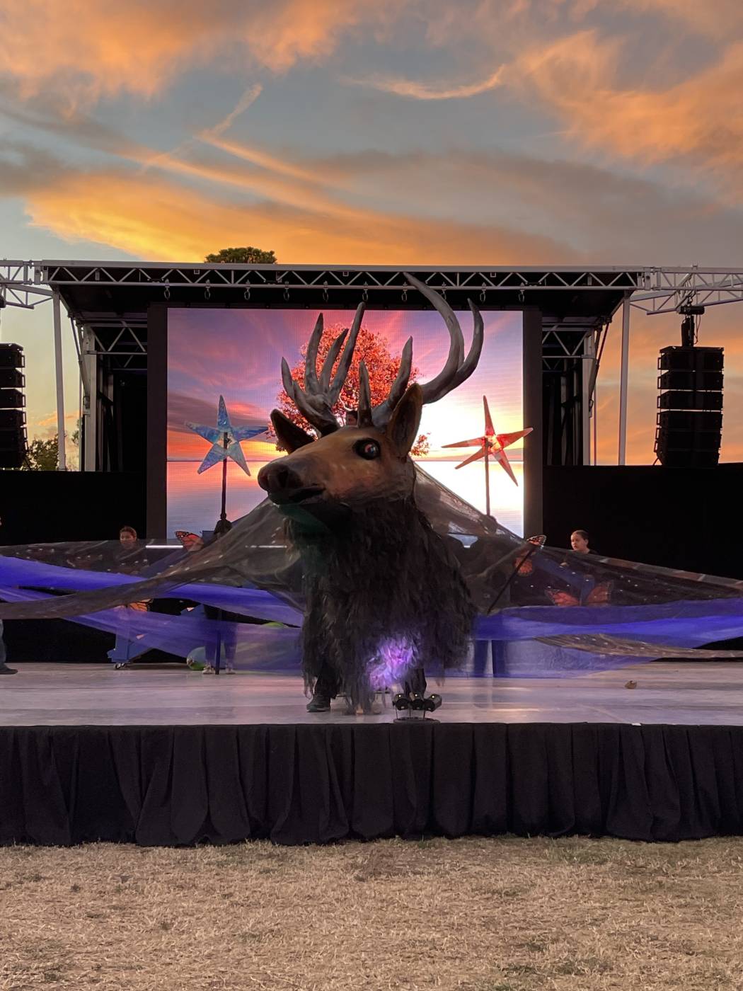 What's Happening at KaniniFest in 2024? | The Momentary