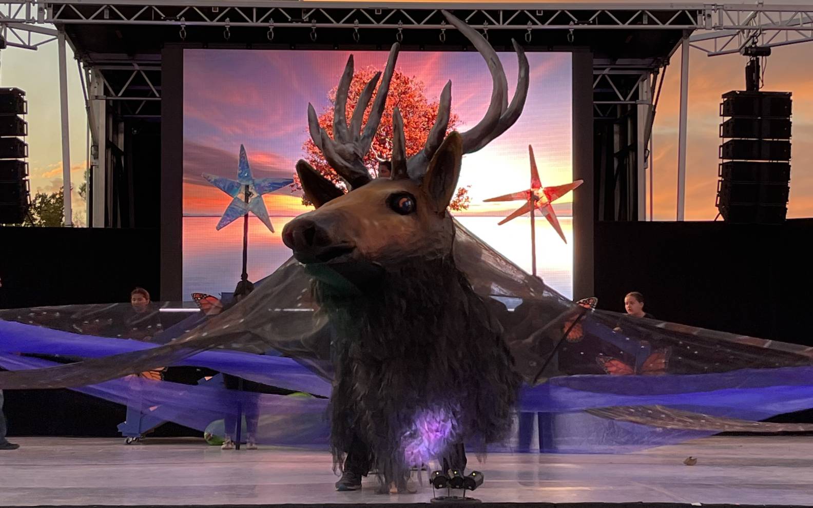 KaniniFest | The Momentary