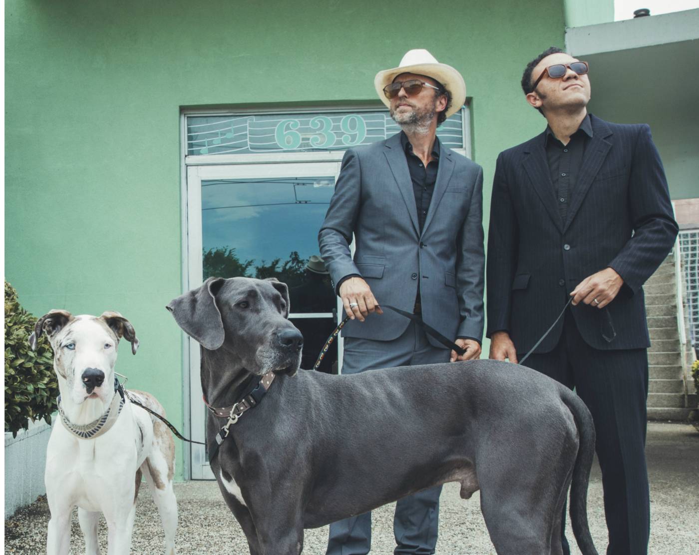 Greyhounds and King Cabbage Brass Band | The Momentary